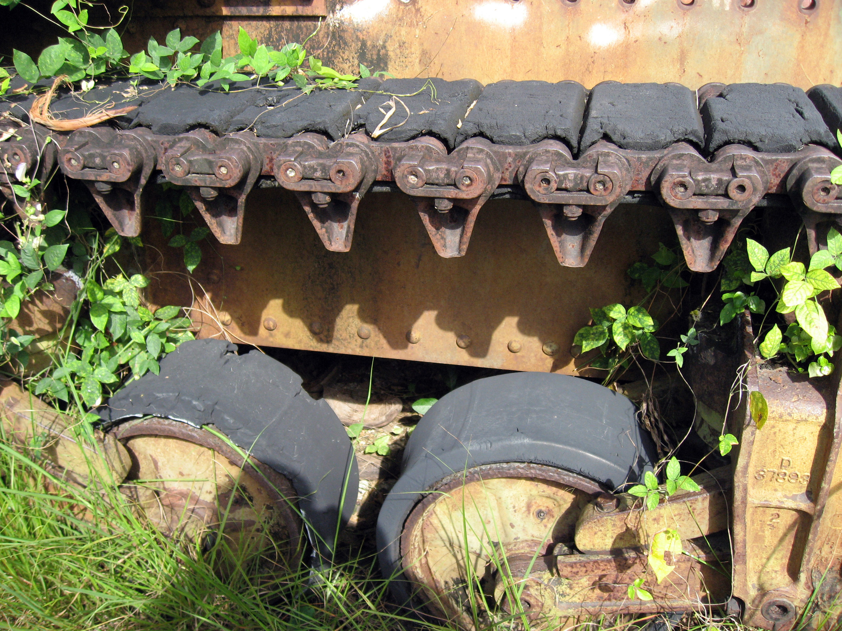 2008 Papua New Guinea Trip - Stage 4 Madang
