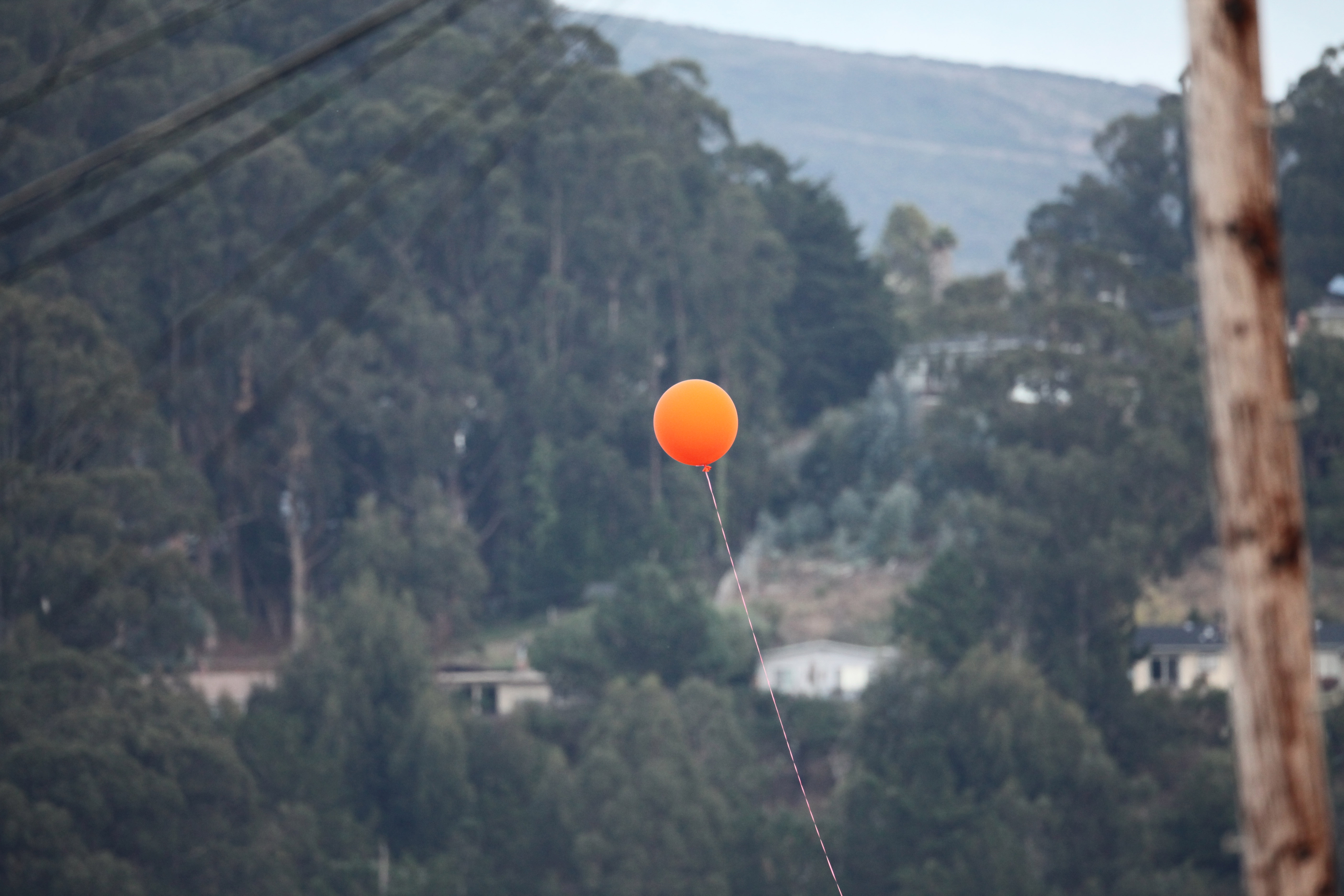 2011 One Weekend in Pacifica with a Telephoto Lens
