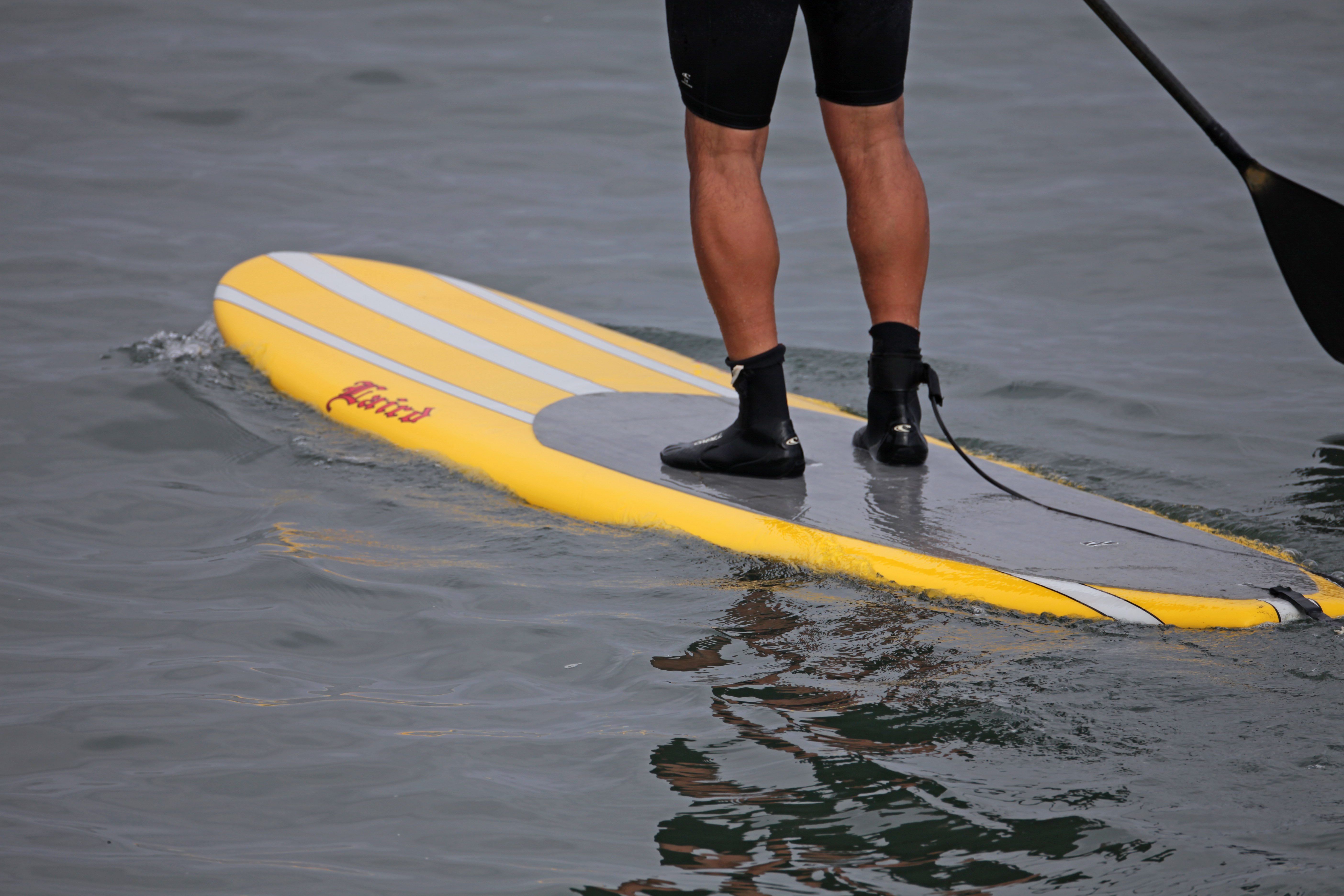 2011 One Weekend in Pacifica with a Telephoto Lens