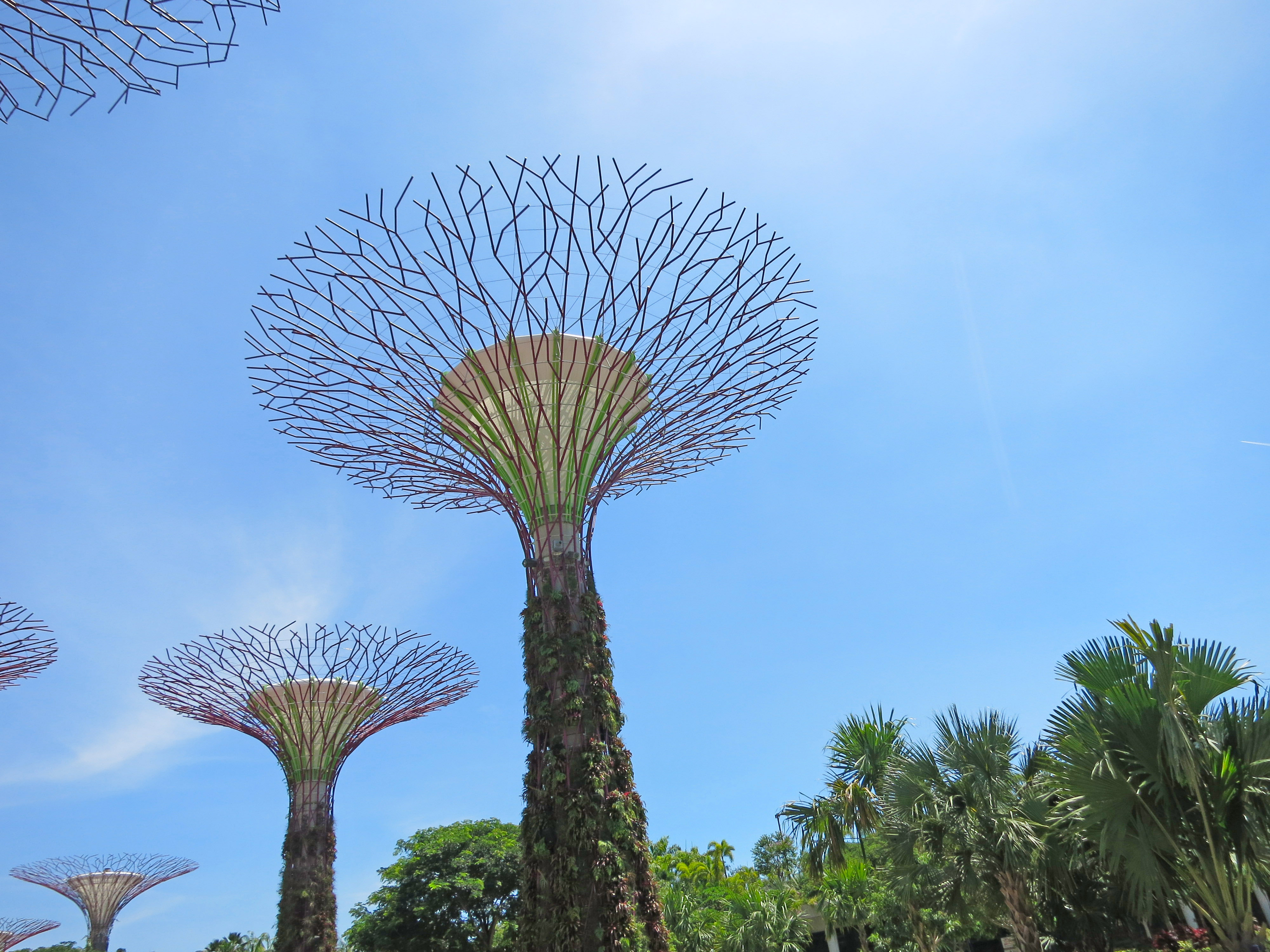 2013 Maldives and Singapore Trip