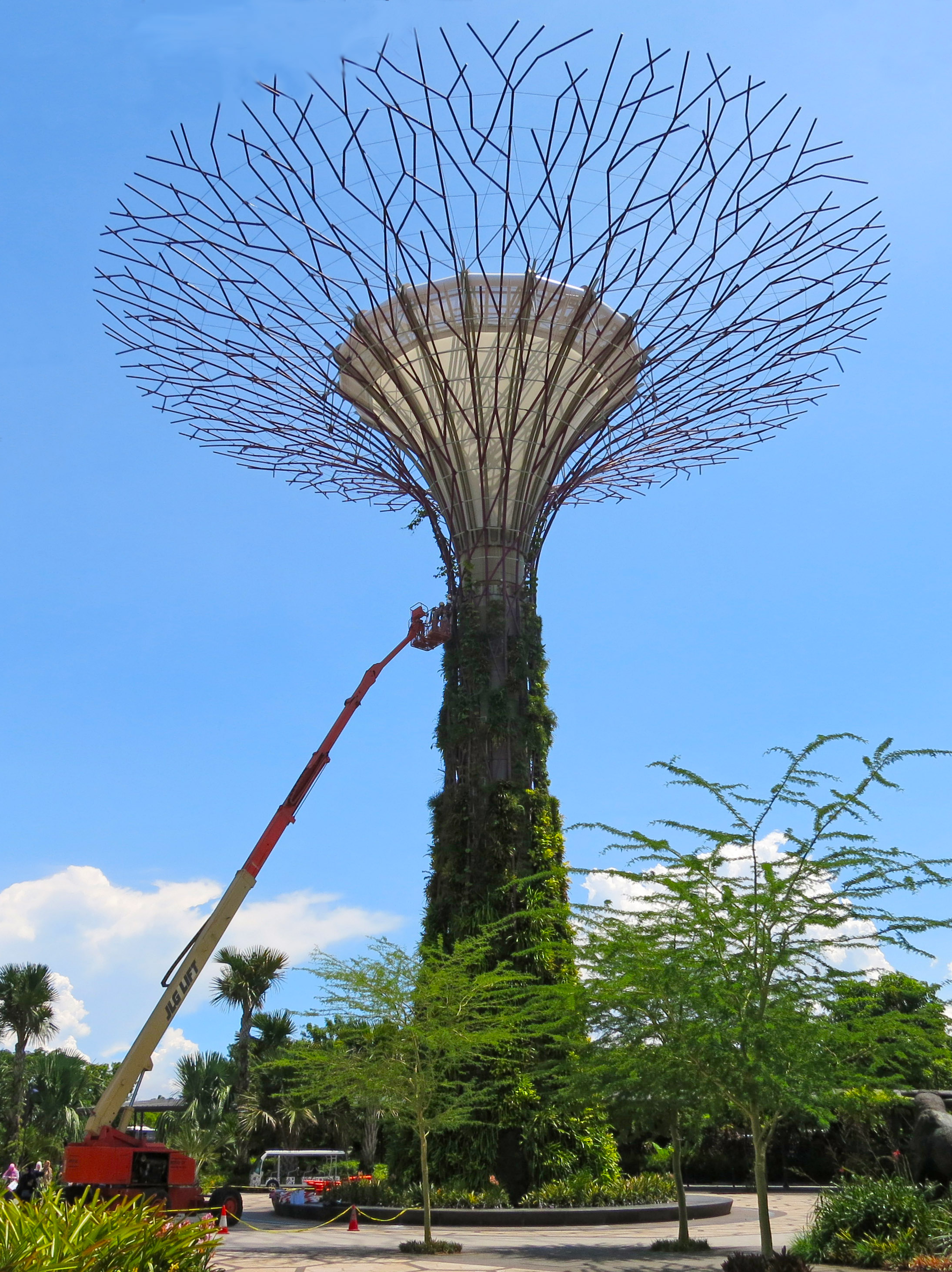 2013 Maldives and Singapore Trip