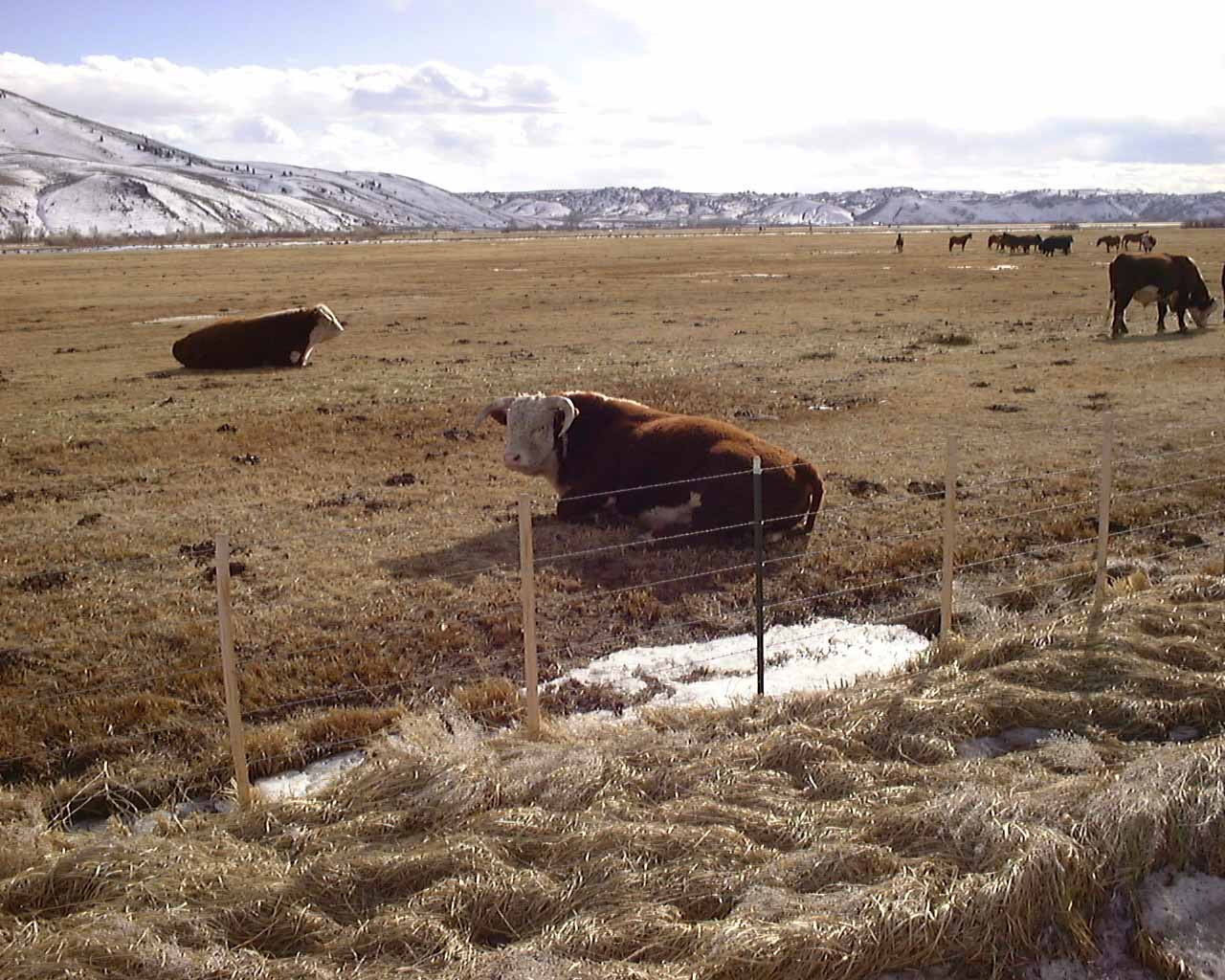 Arapahoe Basin, CO Gallery