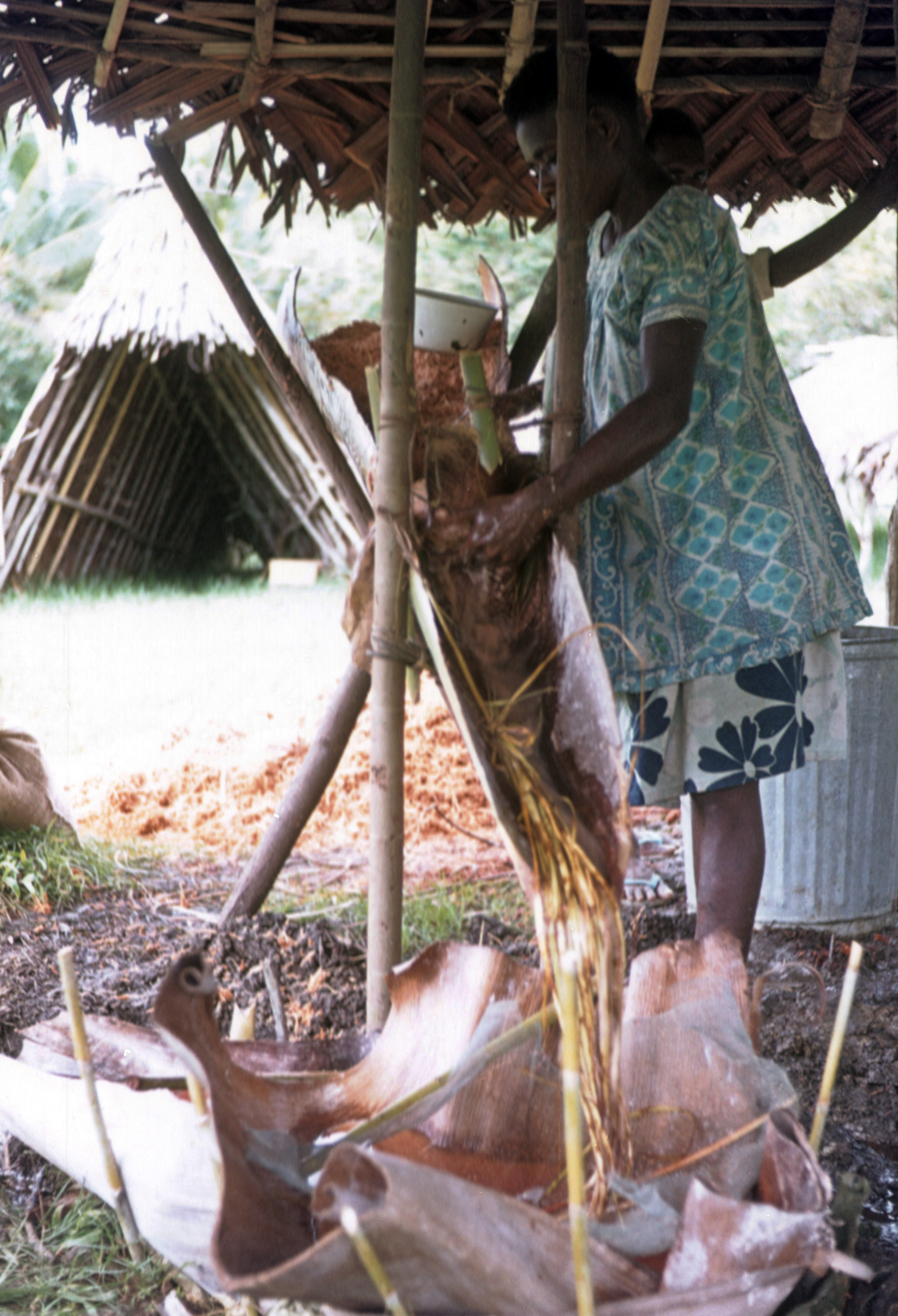 Papua New Guinea Photos 1972 (60 Best Pictures for a Show)