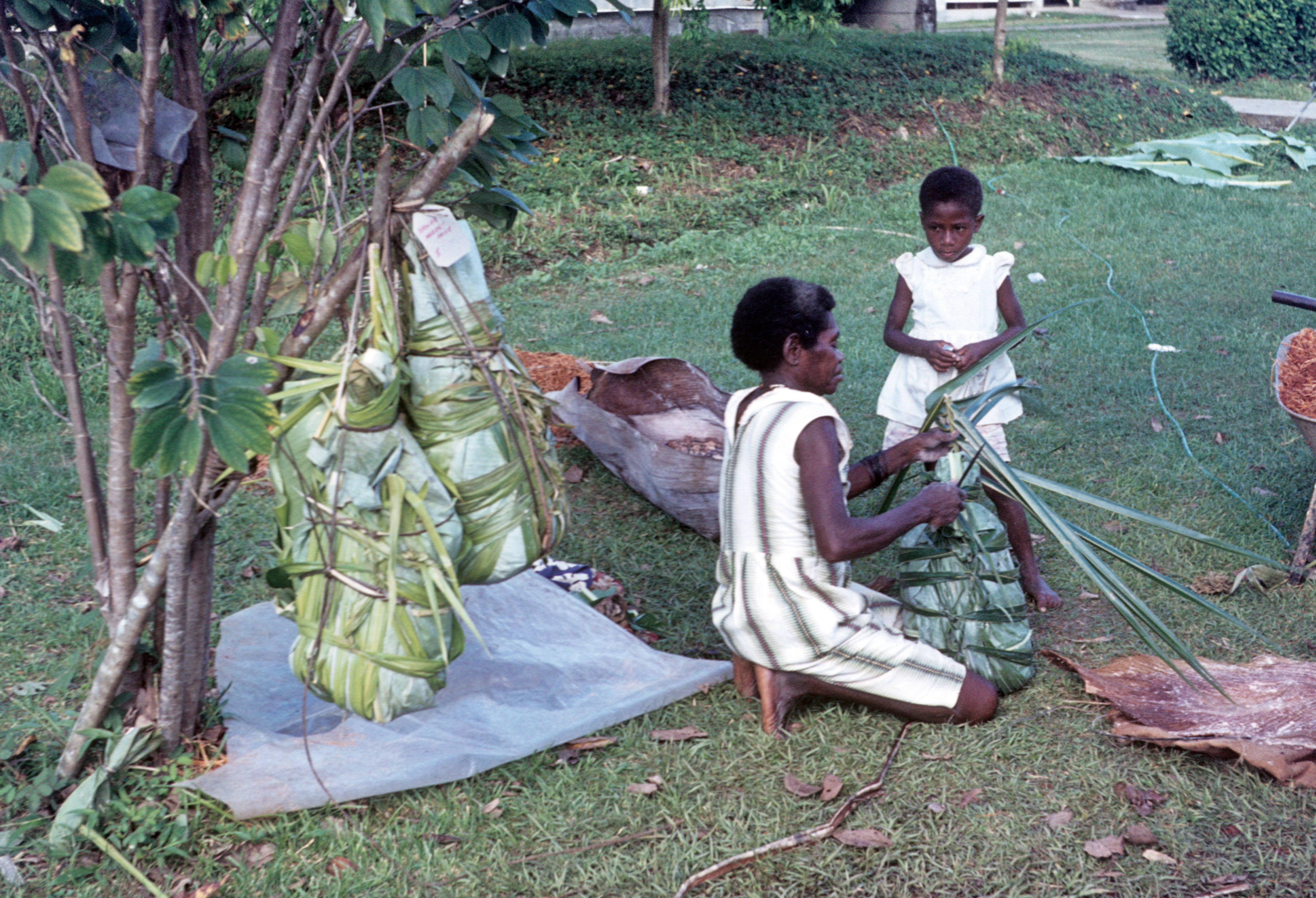 Papua New Guinea Photos 1972 (60 Best Pictures for a Show)