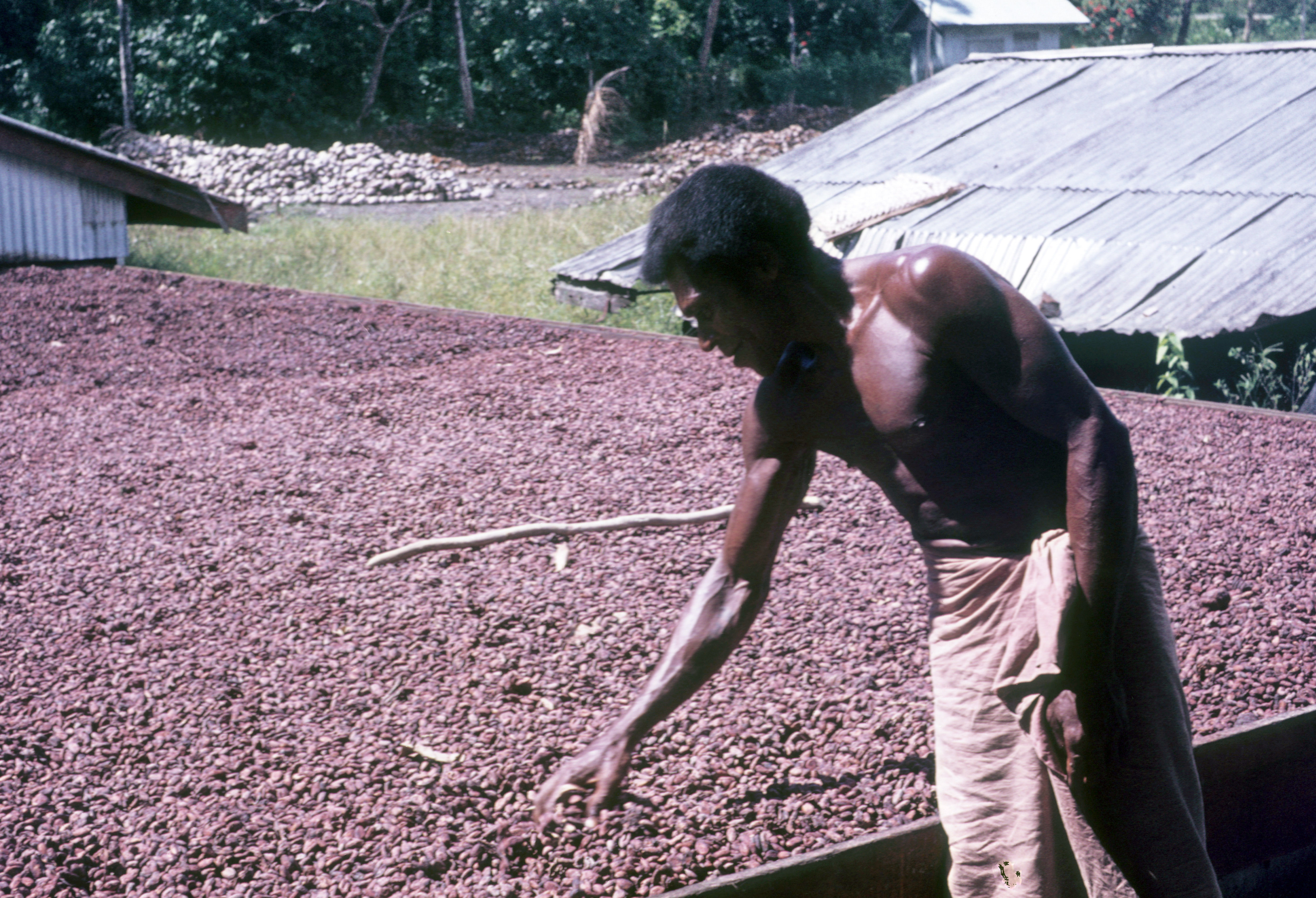 Papua New Guinea Photos 1972 (60 Best Pictures for a Show)